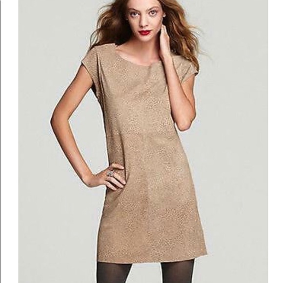 Joie | Dresses | Joie Aloisa Leather Dress Camel Shift Suede | Poshmark